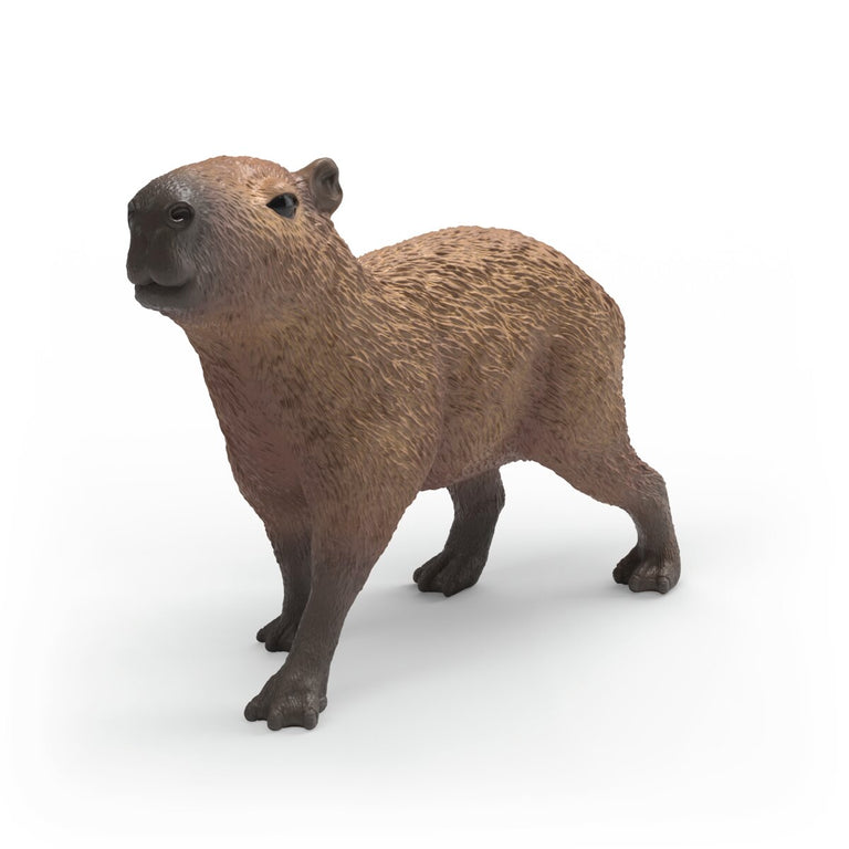 Entdecke die Welt von WILD LIFE | schleich®